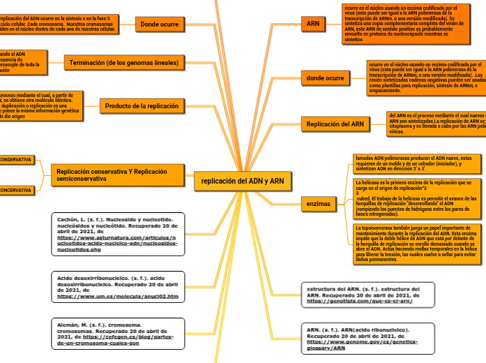 replicación del ADN y ARN - Mind Map